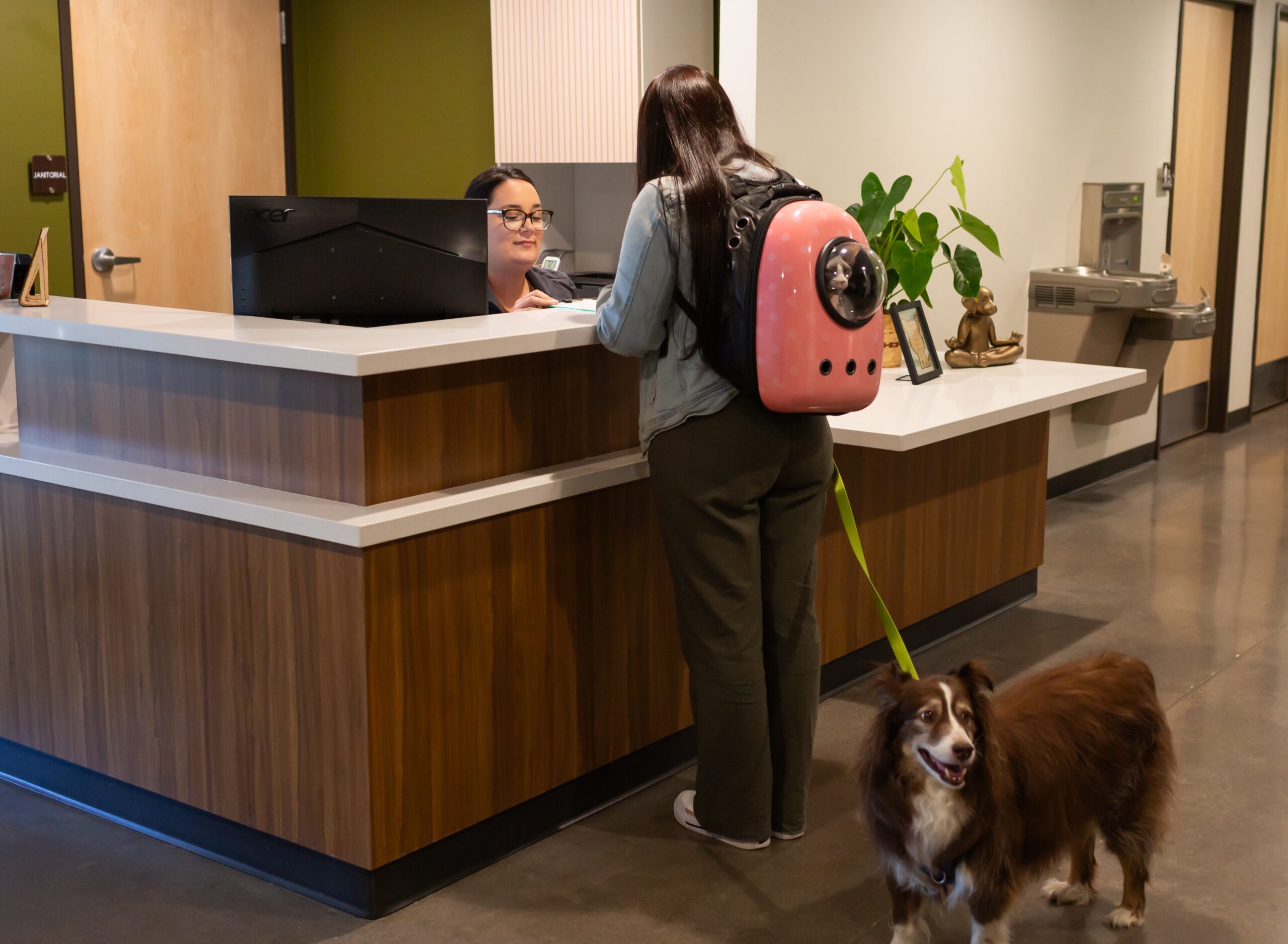 Sunstone Veterinary Specialists: Portland OR Veterinarian
