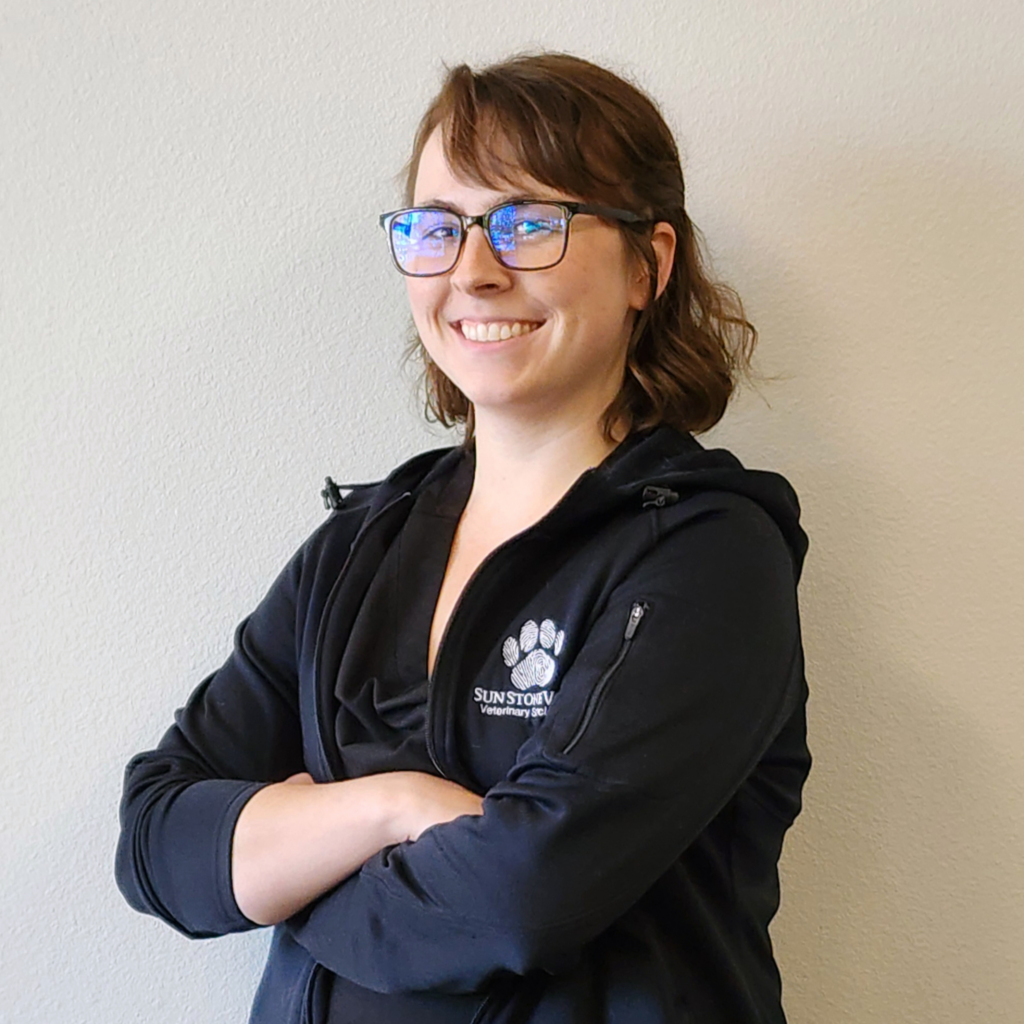 Meet the veterinarians & team at Sunstone Veterinary Specialists ...