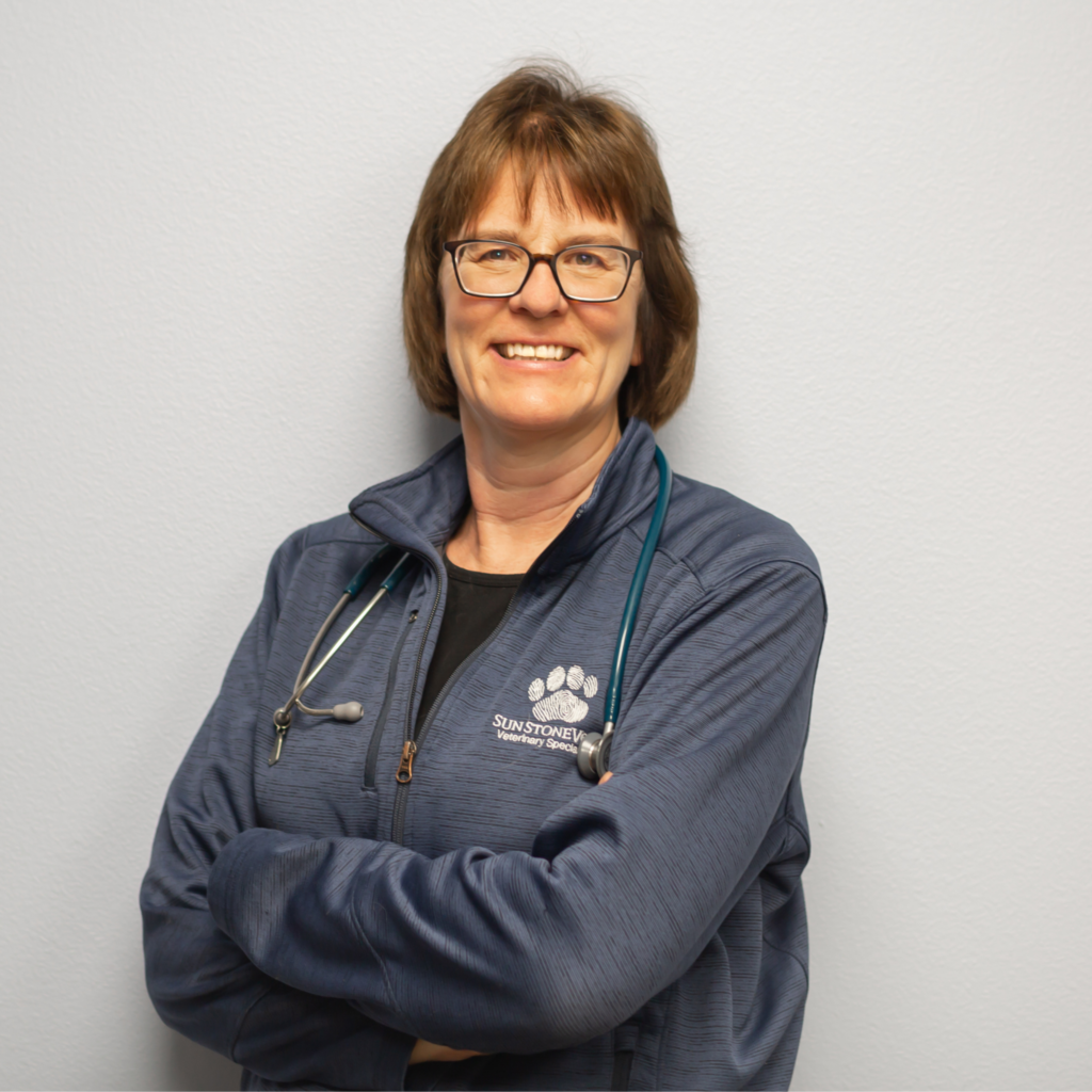 Meet the veterinarians & team at Sunstone Veterinary Specialists ...